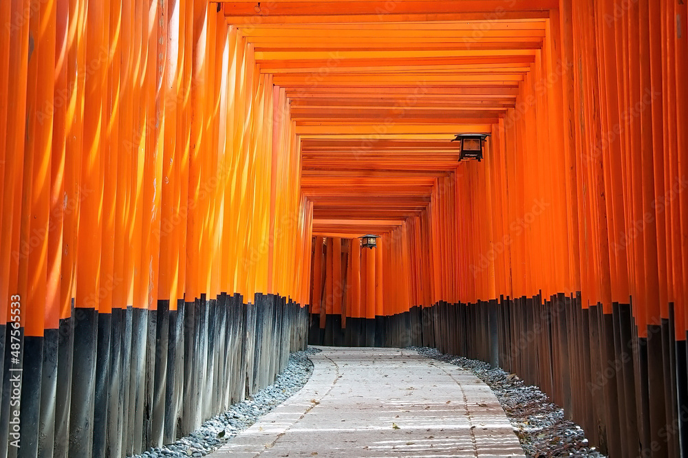 Fushimi Inari Shrine in Kyoto, Japan, famous for its hundreds of orange ...