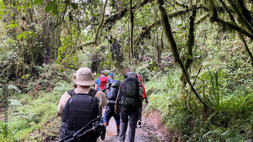 A group of tourists with backpacks are walking along a path in the ...