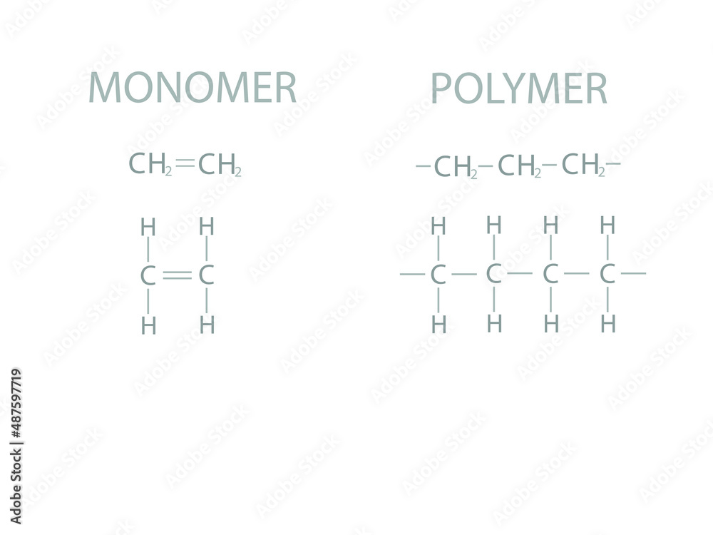 Monomer and polymer molecular skeletal chemical formula. Stock Vector ...