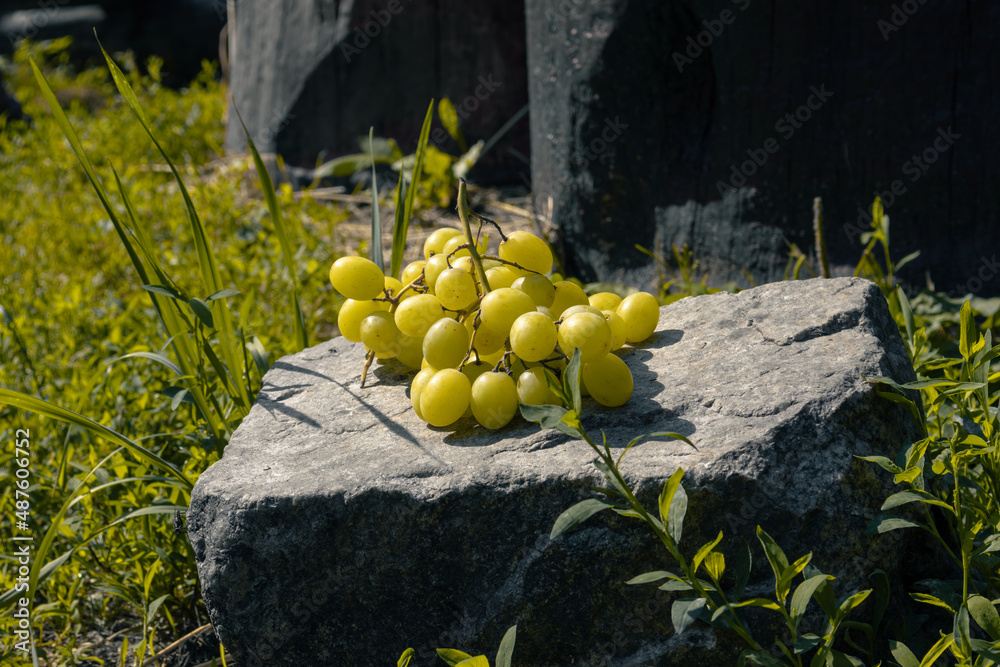 A bunch of green grapes lies on a stone. Ritual fruit offerings ...