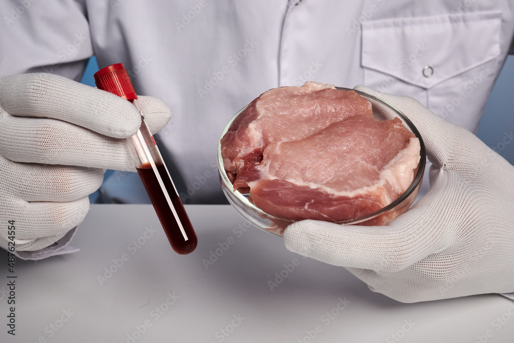 Scientist makes blood test for meat in a Petri dish. Hands shows blood ...