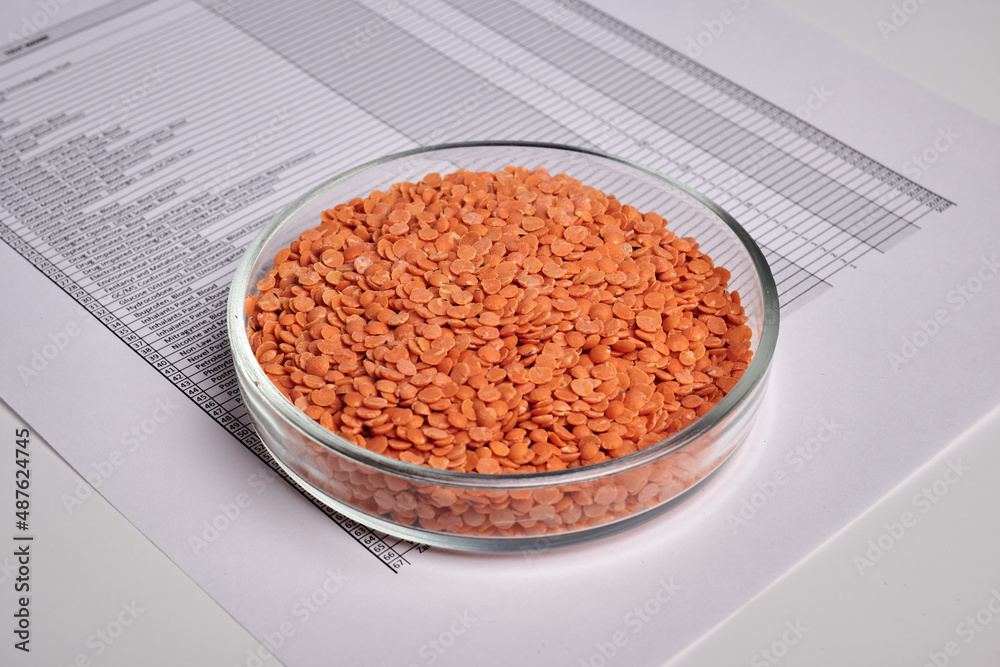 Toxic paper report for red lentils in petri dish. Toxicology test for ...
