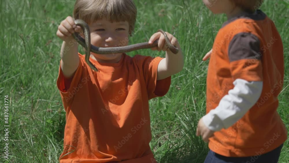 Two little children play with dangerous wild animal, captured snake in ...