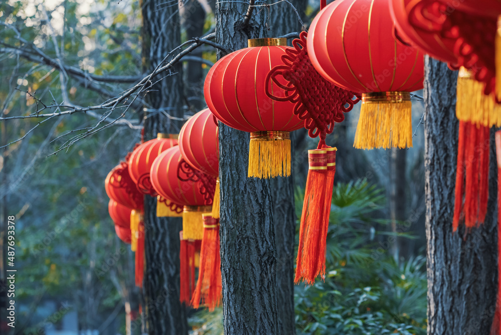 Red Chinese lanterns hanging on trees in culture park for the Chinese ...