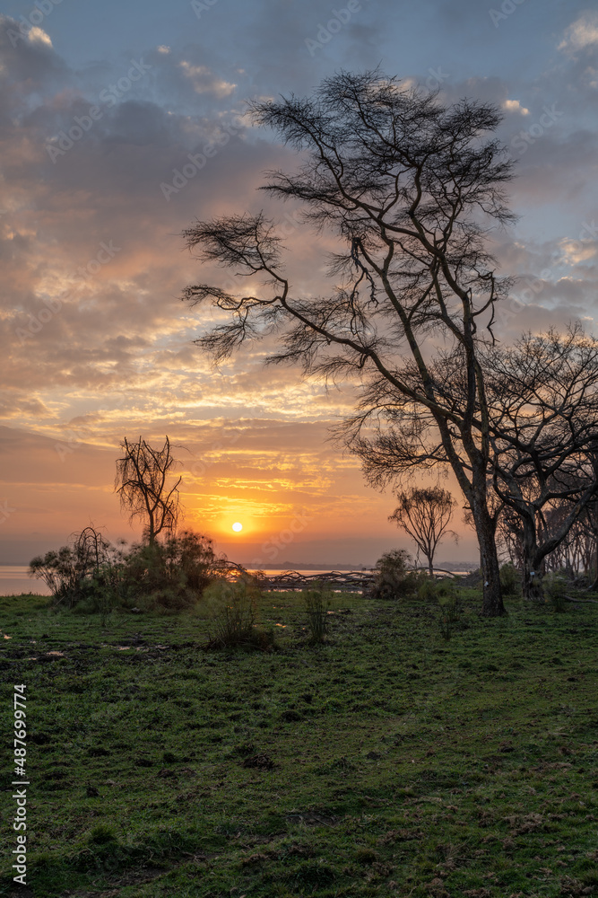 Beautiful African Landscape