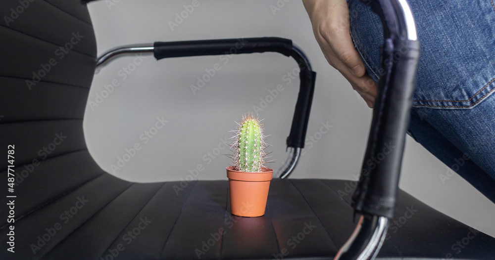Concept. A man holds a cactus as a symbol of rectal pain. Varicose ...