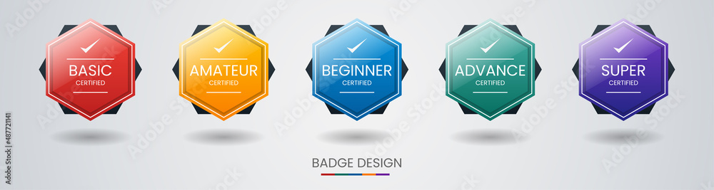 Set of bundle modern and simple colorful certified badge label logo ...