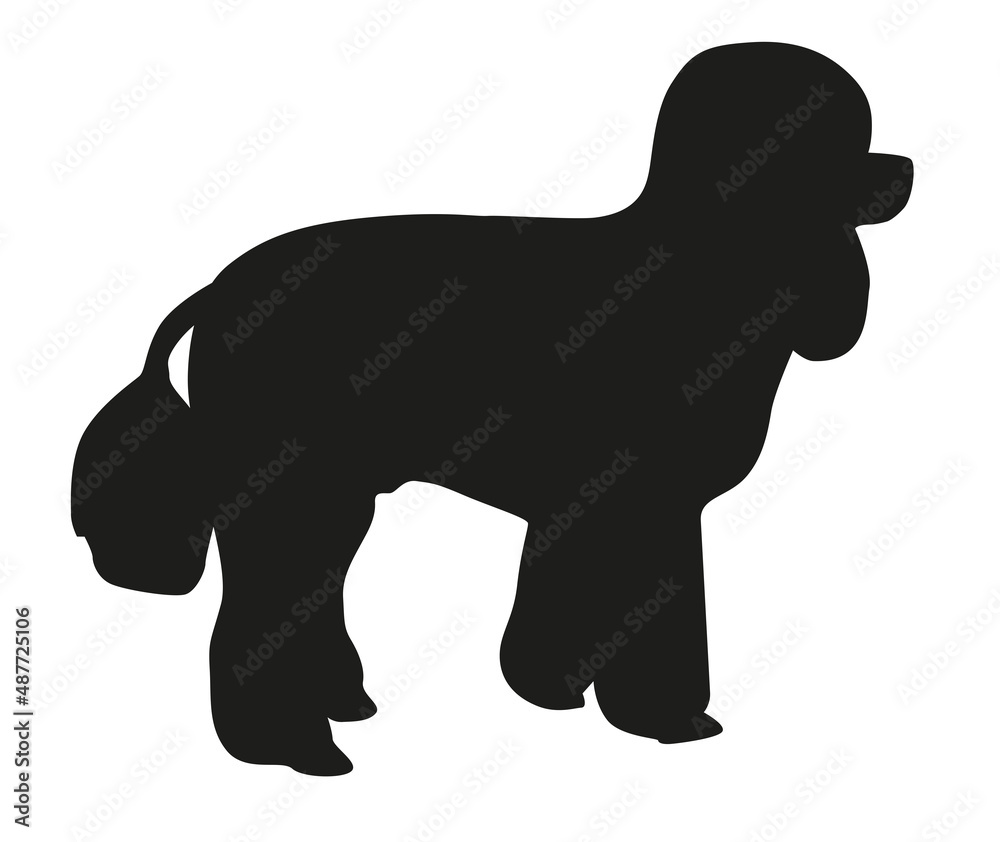 Black silhouette of a poodle dog, outline of a standing dog Stock ...
