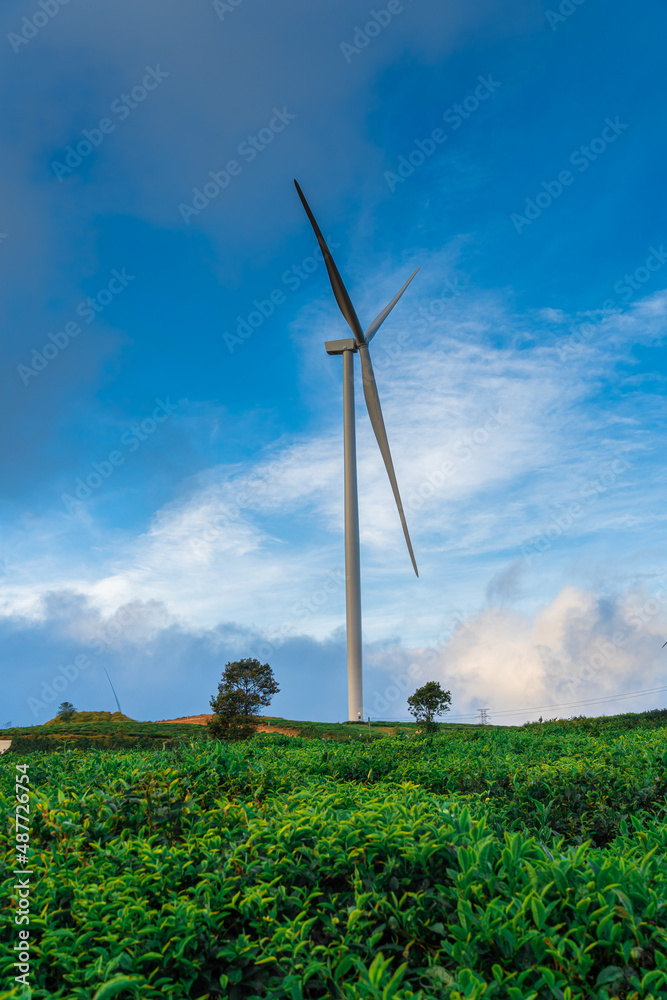 Misty view with wind power on tea hill at Cau Dat, Dalat, Vietnam ...