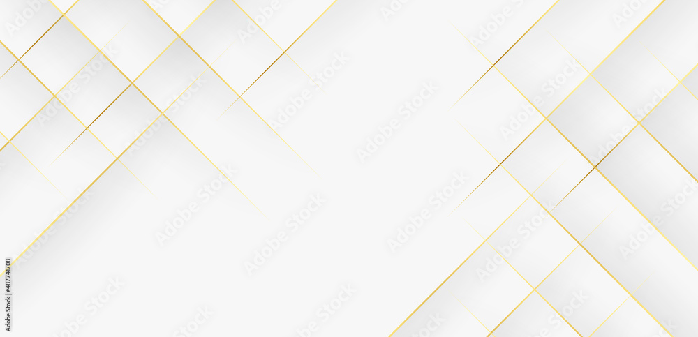 Modern abstract polygonal pattern luxury on white and gray header ...