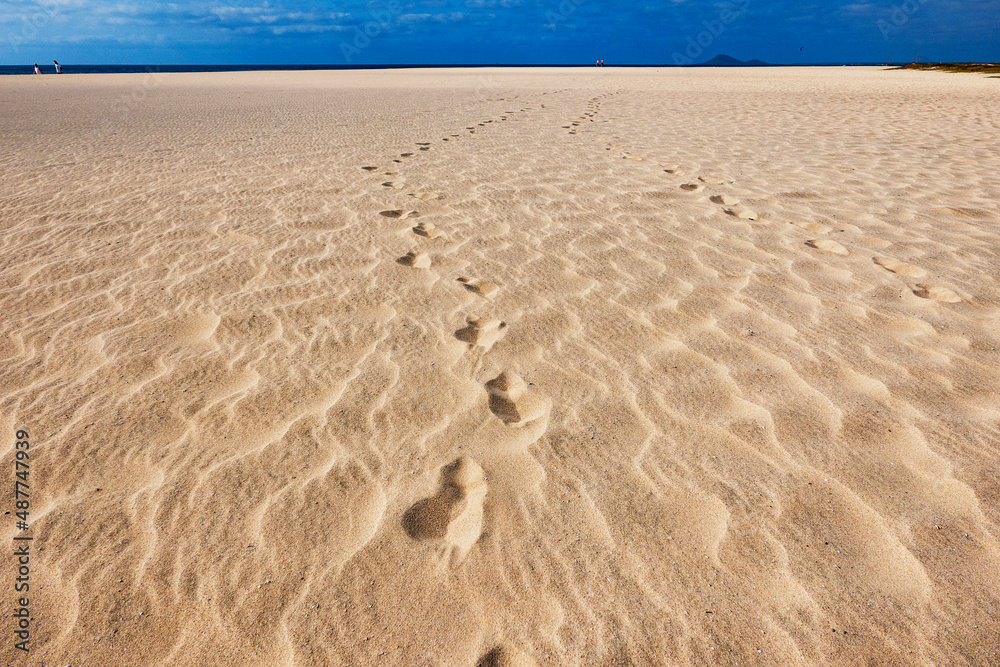 footprints in the sand Stock Photo | Adobe Stock