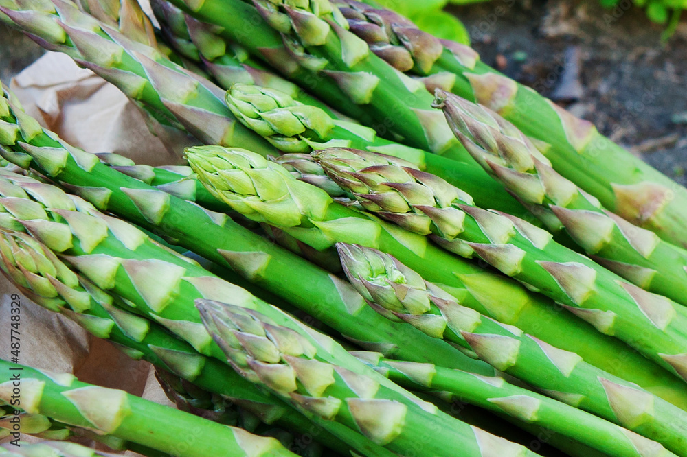 Organic fresh green asparagus packed in eco-package on field background ...