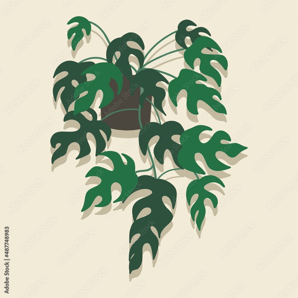 Big monstera in a pot. Abstract modern trendy vector illustration. All ...