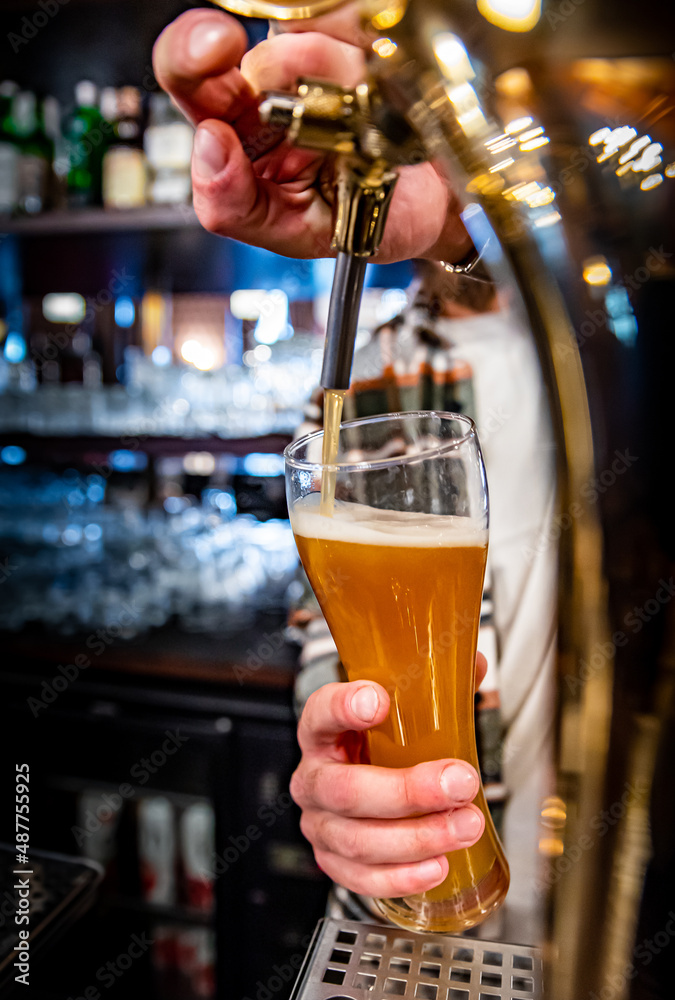 bartender hand at beer tap pouring a draught beer in glass serving in a ...