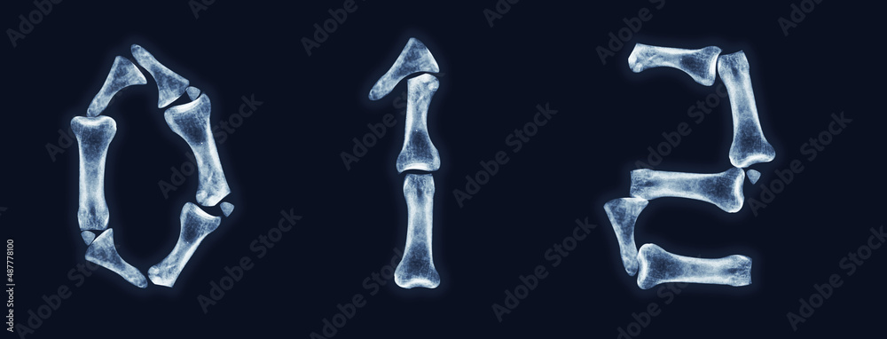 X-ray alphabet. Bone numbers 0, 1, 2. Realistic illustration. Black ...