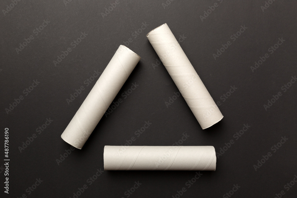 Empty toilet paper roll on colored background. Recyclable paper tube ...