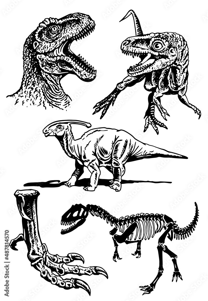 Graphical set of dinosaurs on white background,vector drawing ...