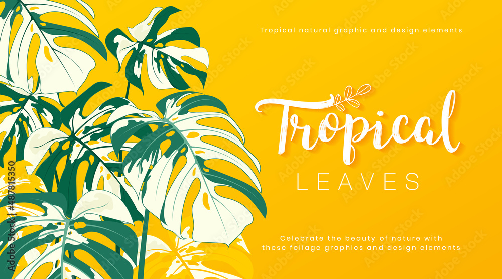 Tropical monstera leaf on yellow background. Exotic botanical vector ...