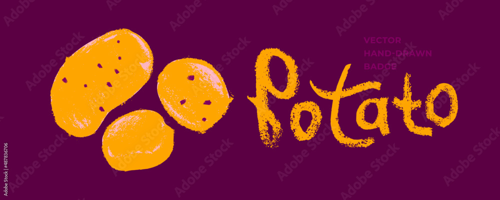 Vector potatoes icon isolated. Hand drawn vegetable potato drawing ...