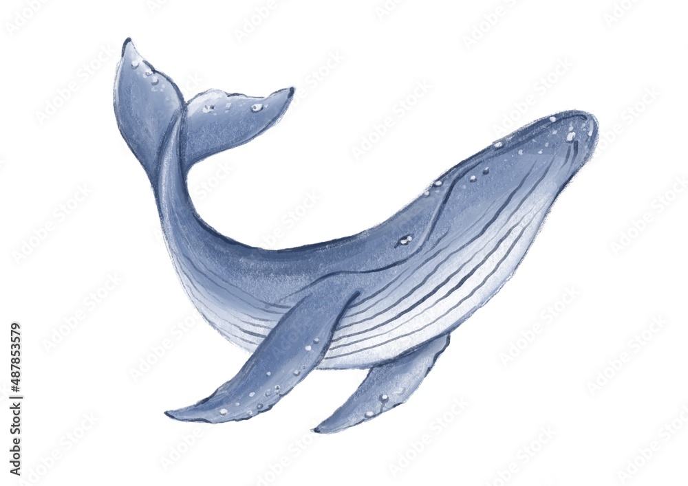 Cute space whale illustration for kids. Nursery digital drawing on ...