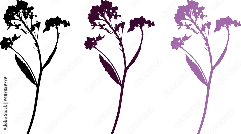 Leaf texture. Vector illustration. Different color options. Stock ...