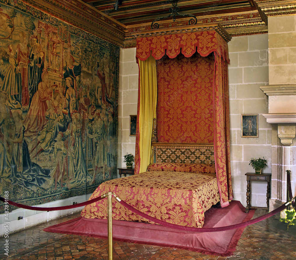 The interior of the Chateau de Chenonceau, France. Loire Valley is ...