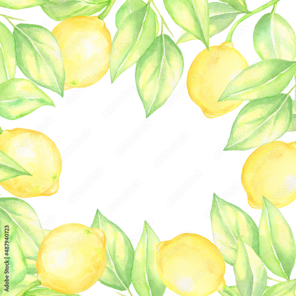Hand drawn watercolor illustration.Lemon border.Isolated on white ...