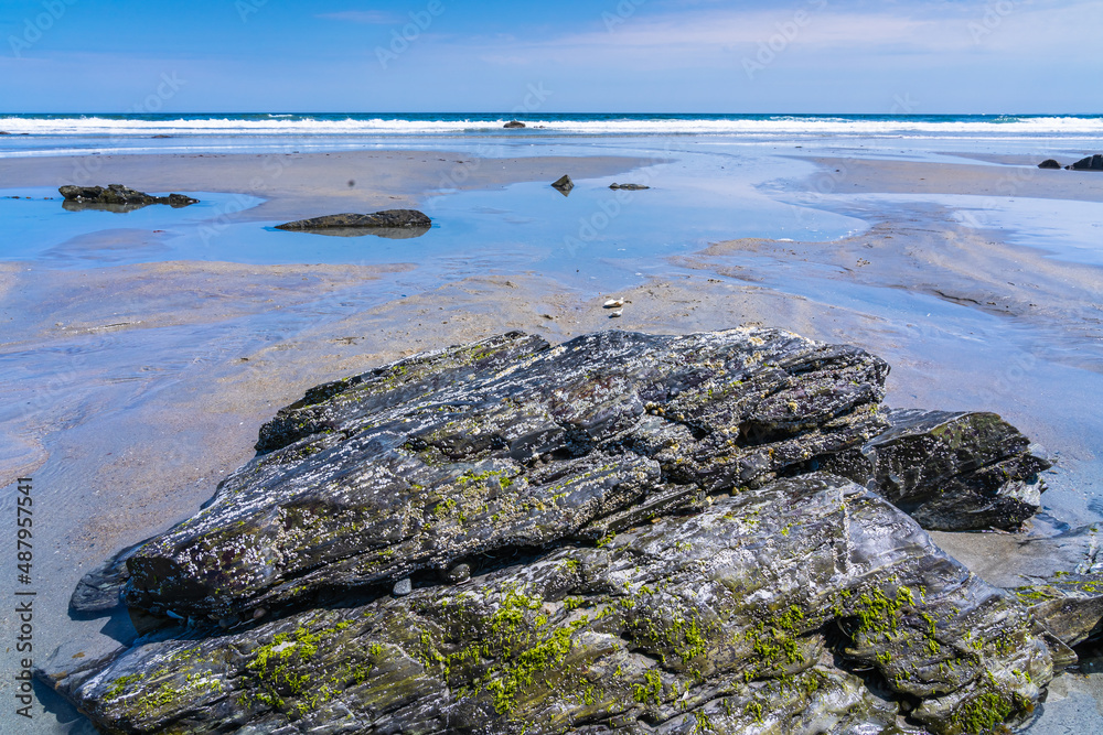 Huge shell-covered smooth rocks in the sand at low tide against the ...