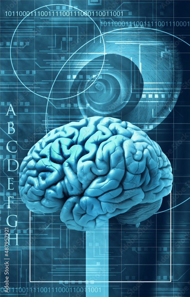 human brain as concept for science, math, language and intelligence ...