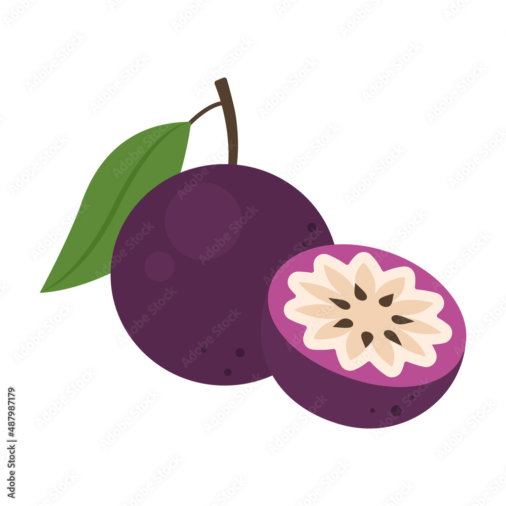 Cainito or caimito whole fruit and half sliced isolated on white ...