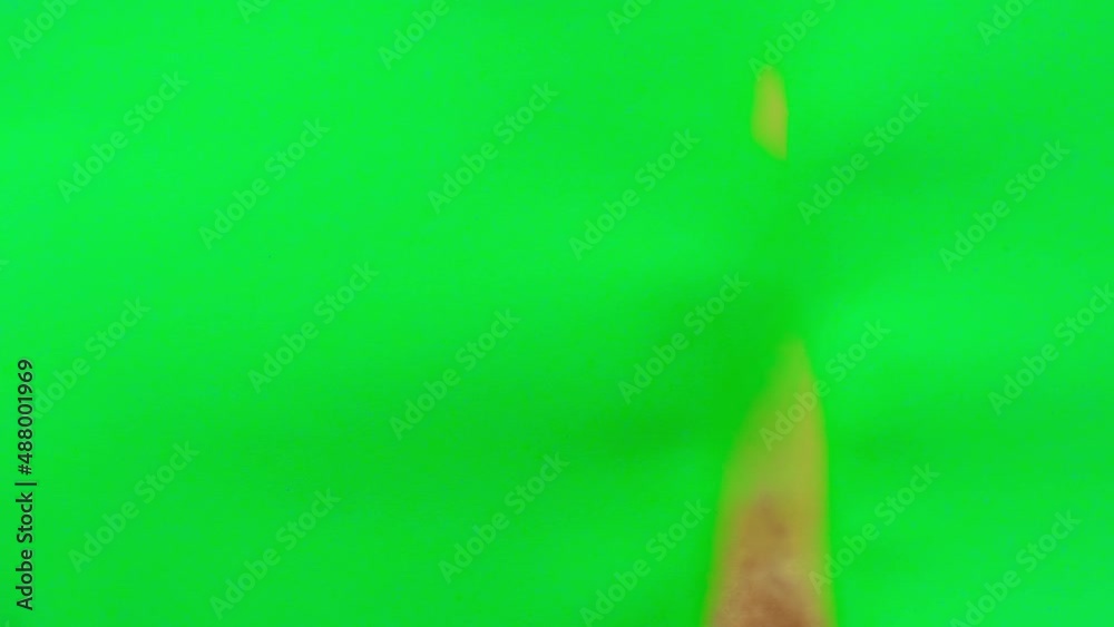 Chroma key burns, revealing burnt edges, smoke and turns into ashes ...