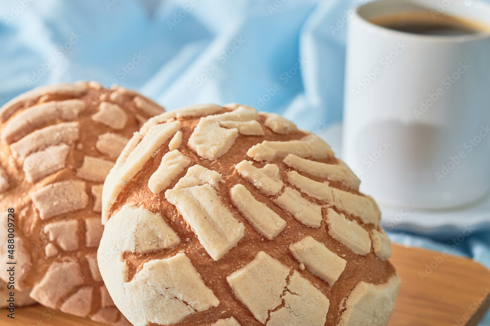 Authentic concha, traditional Mexican sweet bread made of vanilla and ...