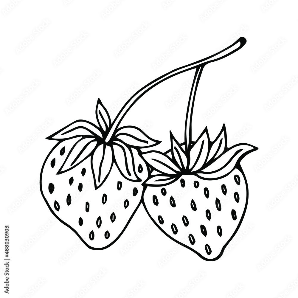 Strawberry hand drawn outline doodle icon. Vector sketch drawing of ...