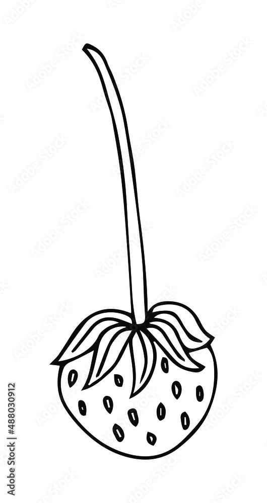 Strawberry hand drawn outline doodle icon. Vector sketch drawing of ...