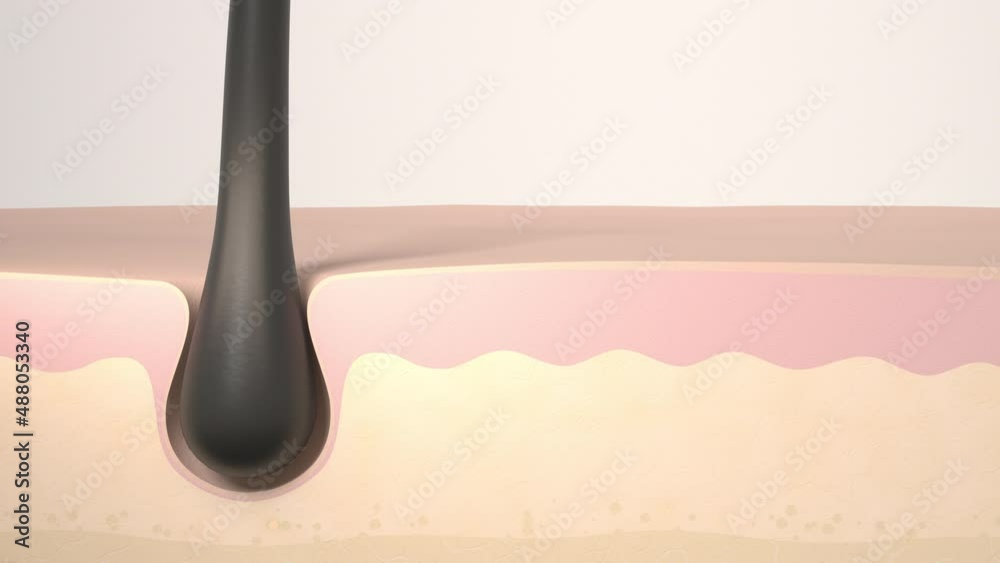 Care, restoration and nutrition of damaged hair structure. Split ends ...