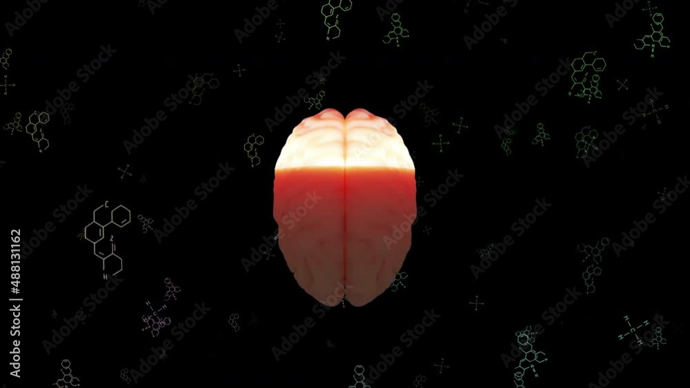 Human Brain Top View Biological scan with chemical symbols floating in ...