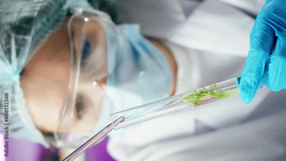 Vertical video of medical scientist inspecting microgreens, working in ...