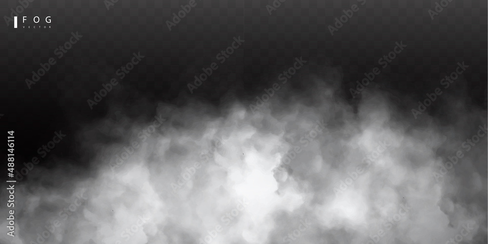 White fog or smok. Realistic fog. Atmosphere mist effect and smoke ...
