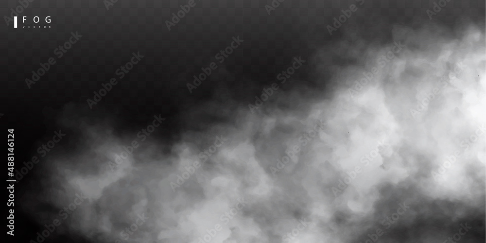 White fog or smok. Realistic fog. Atmosphere mist effect and smoke ...