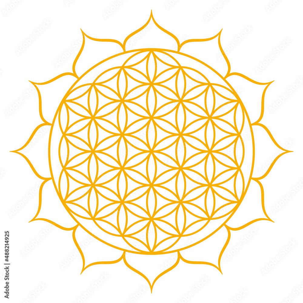 Golden Flower of Life with twelve petals. Geometrical figure, spiritual ...