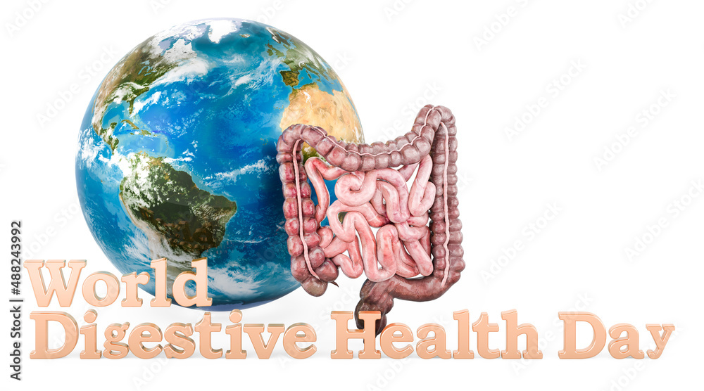 Human intestine with Earth Globe, World Digestive Health Day concept ...