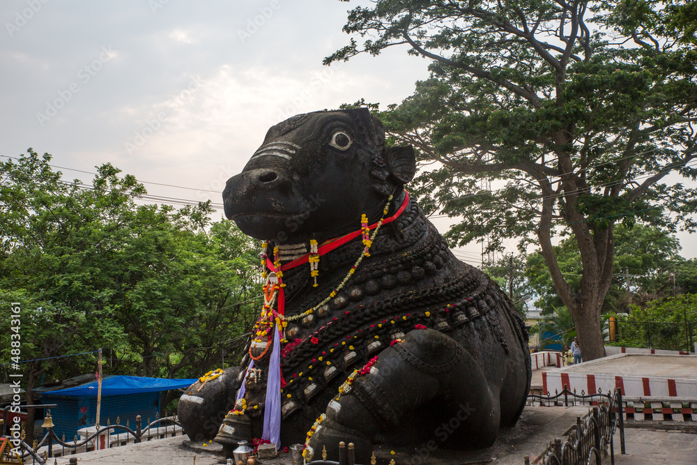 Foto de 350 year old monolithic statue of Nandi (Bull) God, Chamundi ...