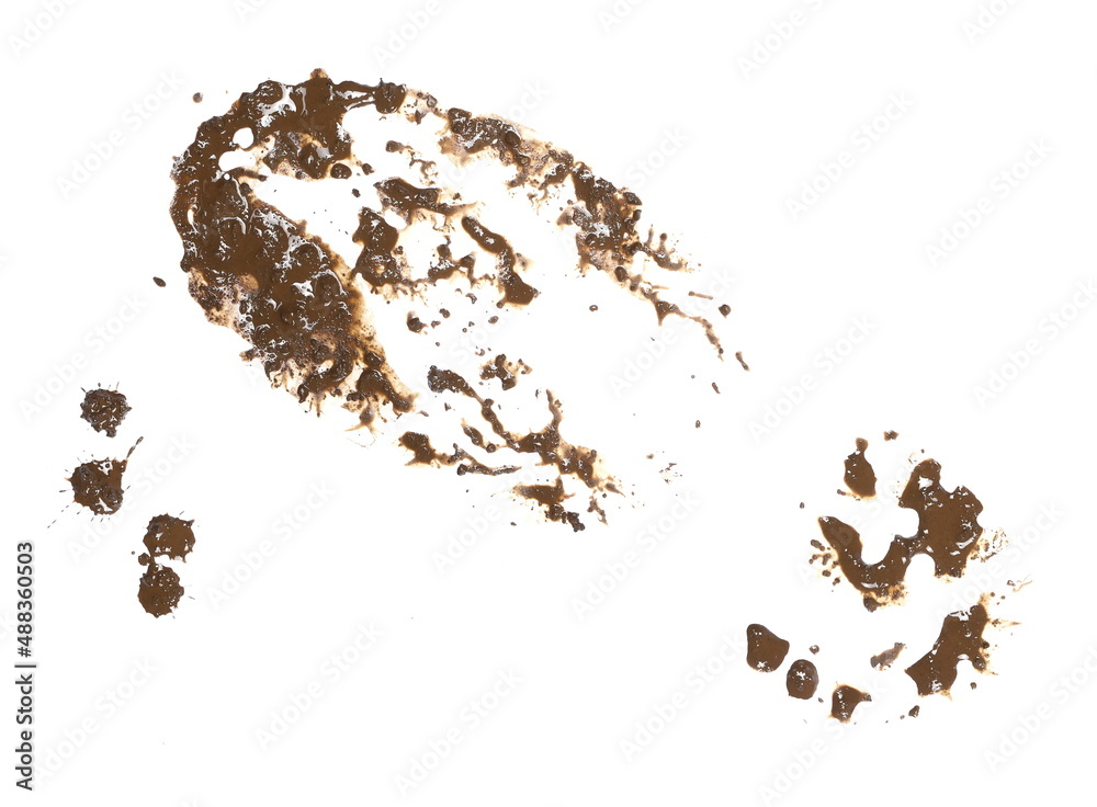 Foot print in wet mud, shoe isolated on white background, with clipping ...