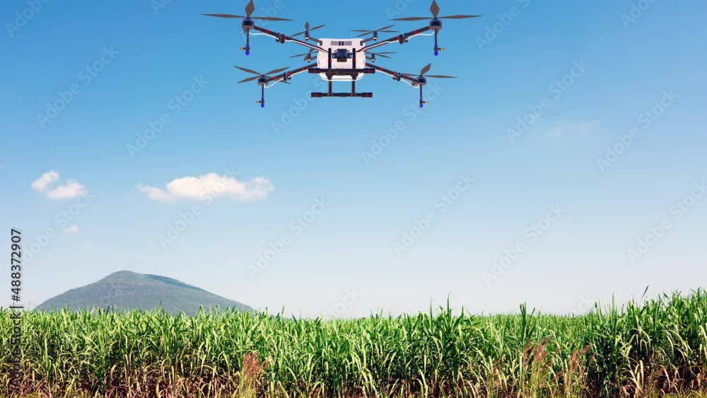 agriculture drone flying on sugar cane farm Stock ビデオ | Adobe Stock