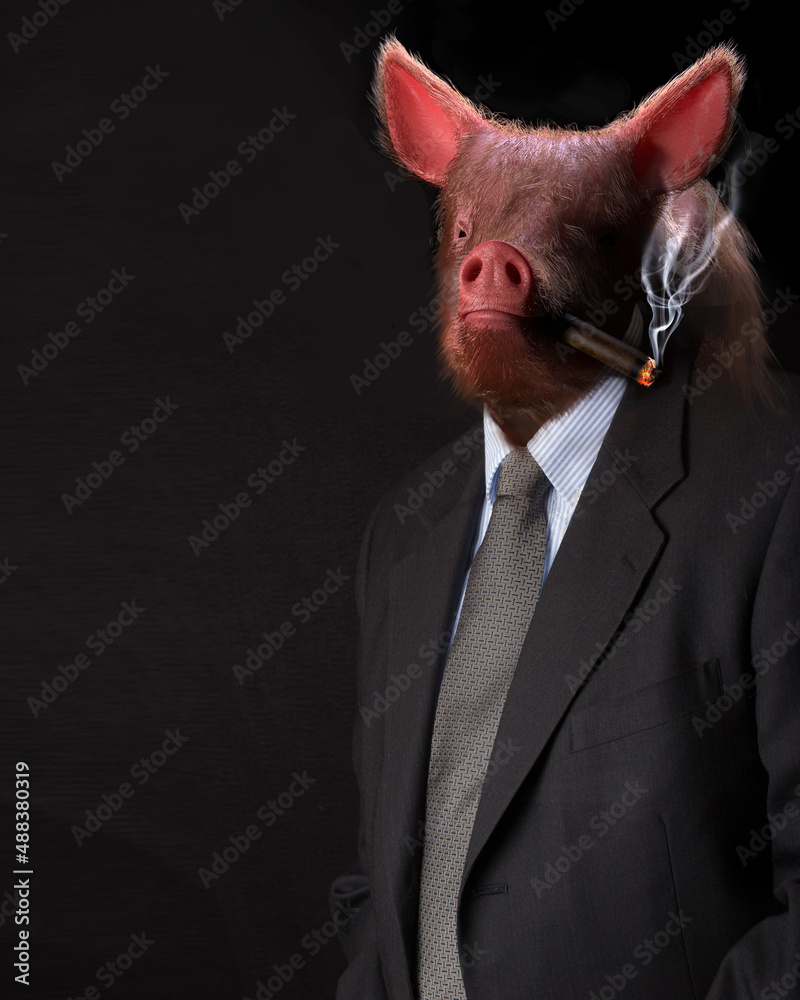Pig-headed man smoking a cigar and dressed in a jacket Stock Photo ...