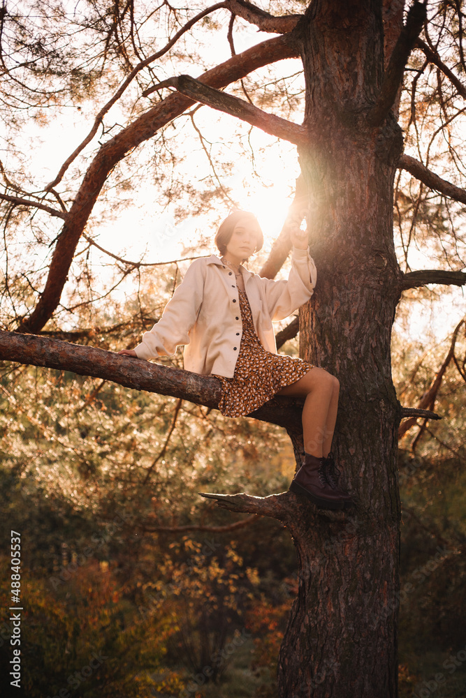 Teenage girl sitting on pine tree branch in forest Stock Photo | Adobe ...