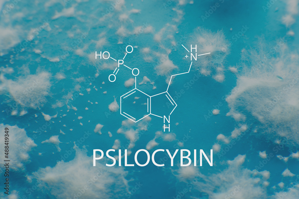 Psilocybe fungi. Psilocybin Mushroom. Psilocybin chemical formula ...