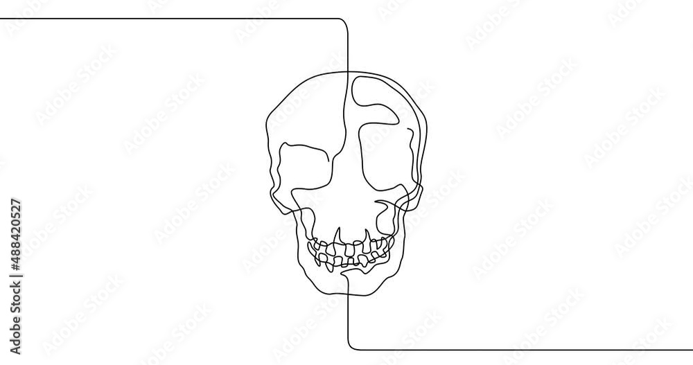 Animation of an image drawn with a continuous line. Human skull. Stock ...