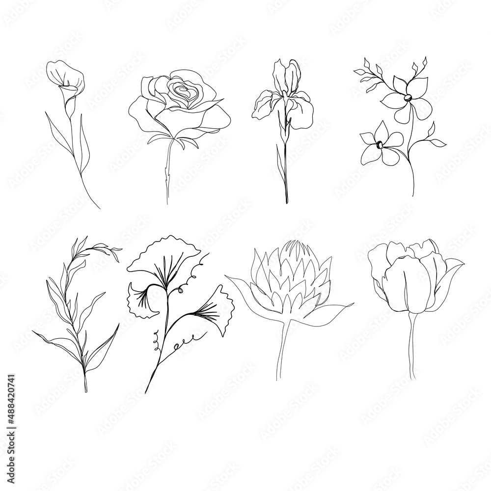 line art drawing of flowers. big set of line art of flowers and plants ...