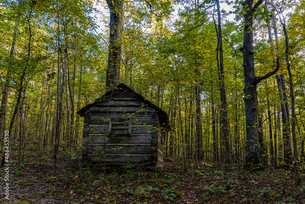 Abandoned Cabin In The Forest, William B. Umstead State Park, Raleigh ...